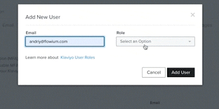 How To Add A New User To Klaviyo Account | Flowium