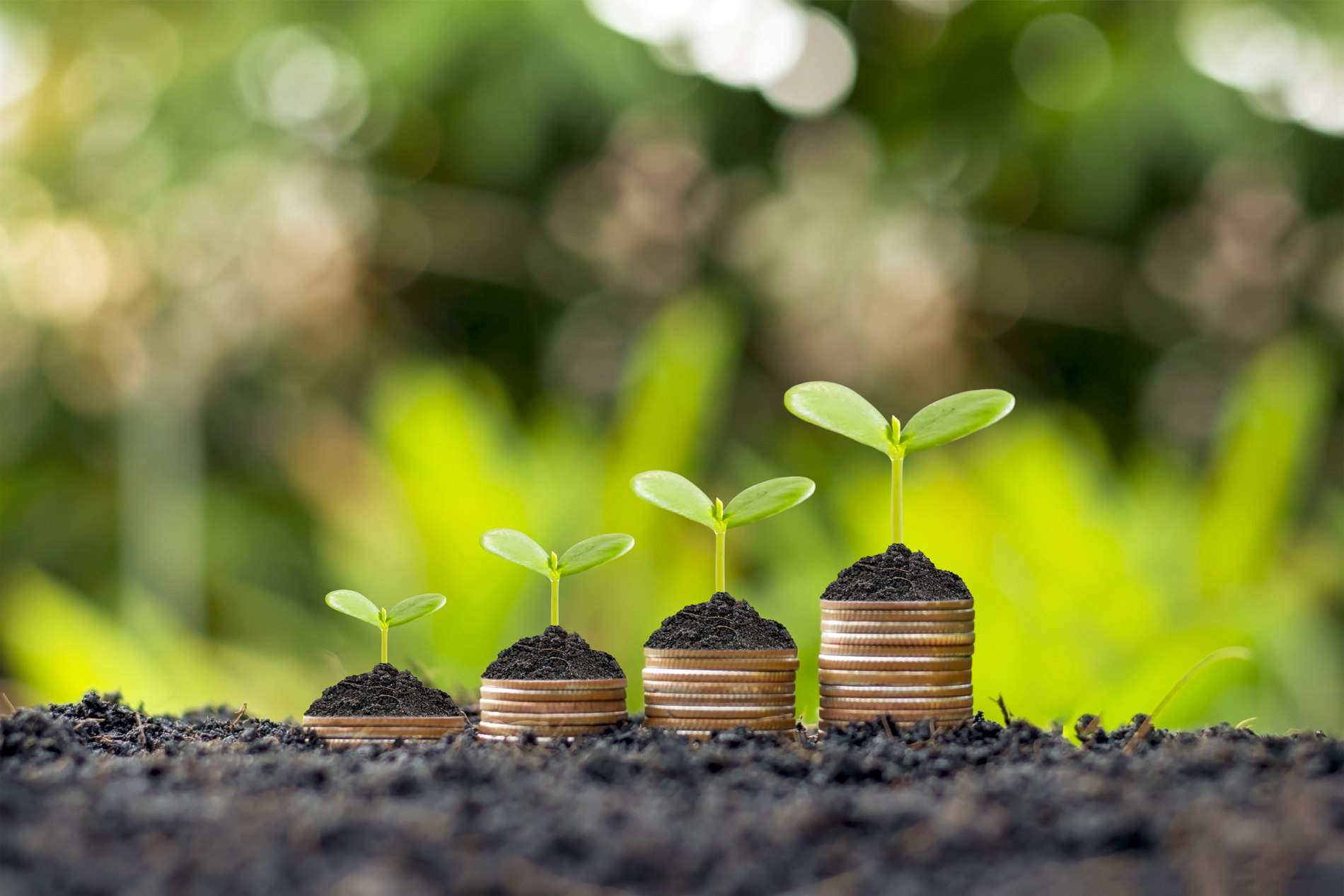 ECommerce Loyalty Program Is It Worth It Flowium