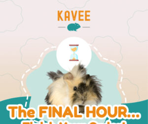 Design Examples | Flowium