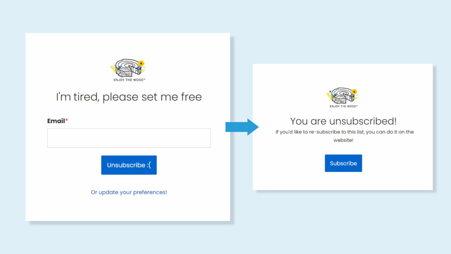 How To Convert Email Unsubscribe To Customer And Unsubscribe Page Examples | Flowium