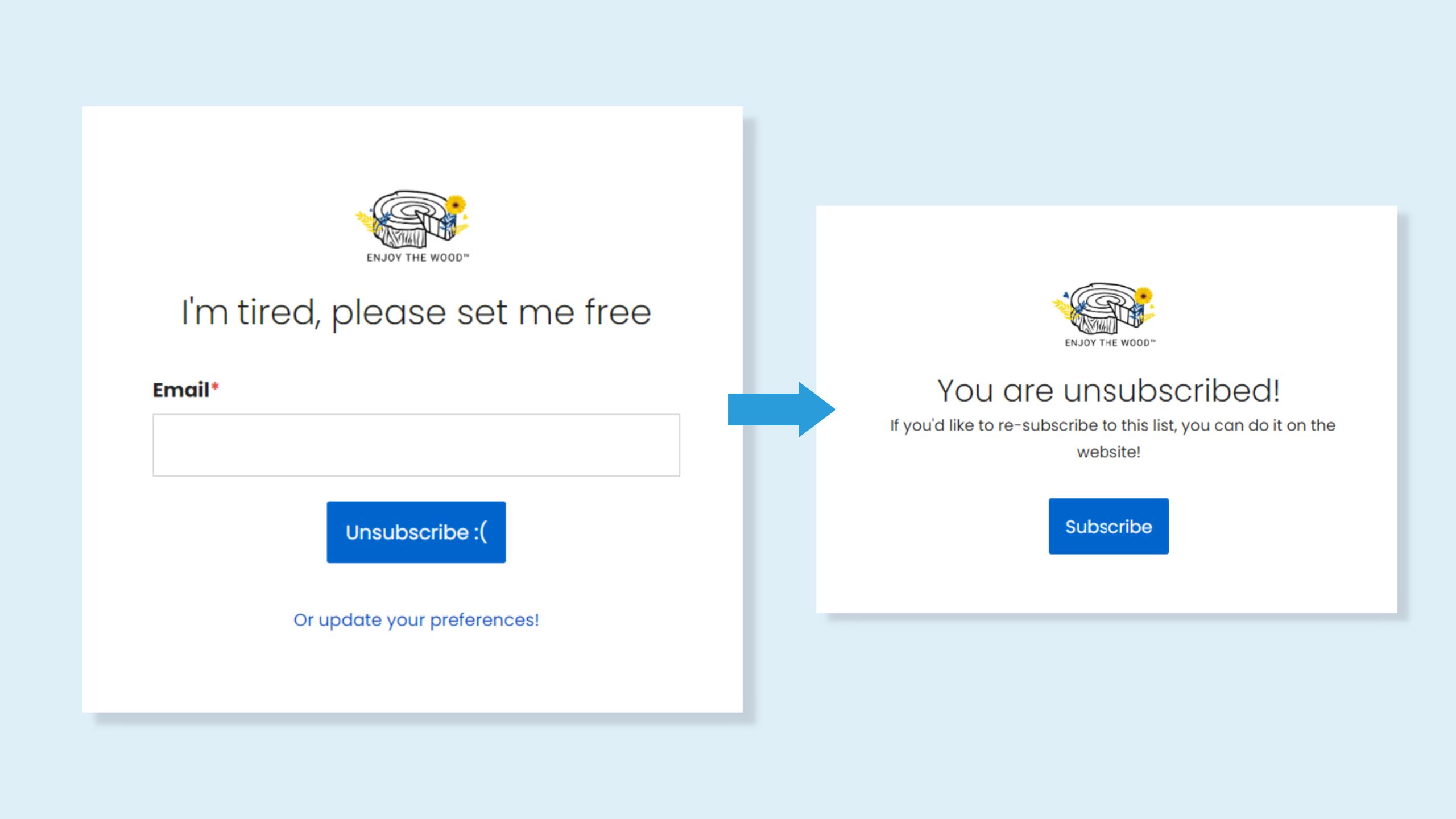 How To Convert Email Unsubscribe To Customer And Unsubscribe Page Examples | Flowium
