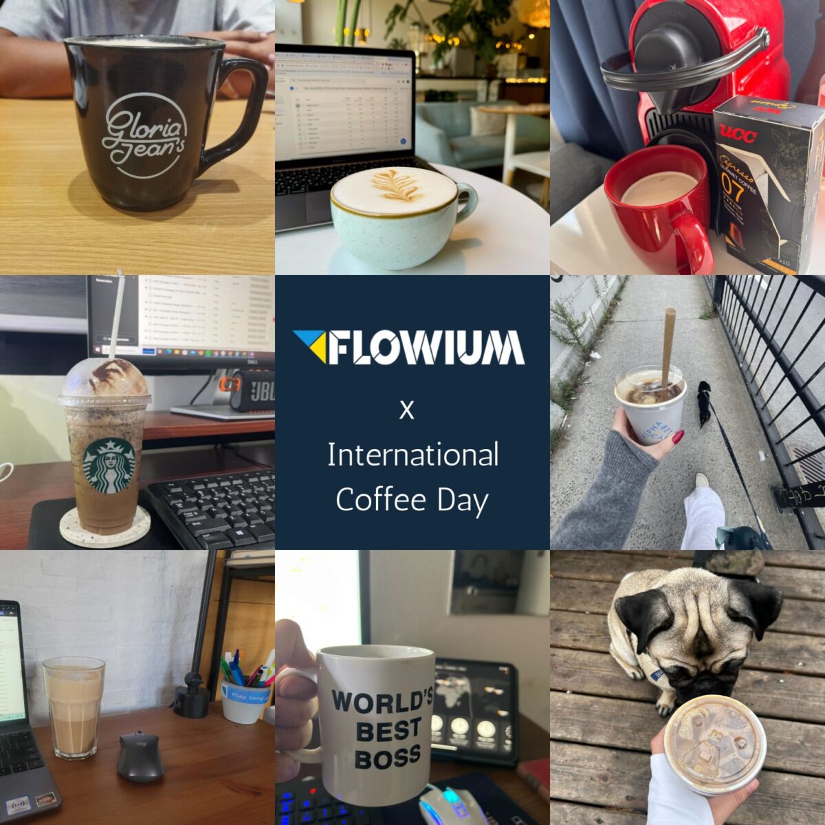 What It's Like to Work at Flowium | Flowium