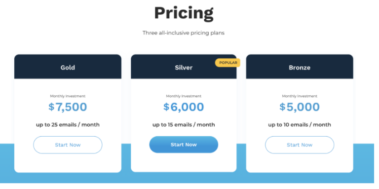 10 Best eCommerce Email Marketing Agencies in the US | Flowium