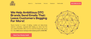 10 Best eCommerce Email Marketing Agencies in the US | Flowium