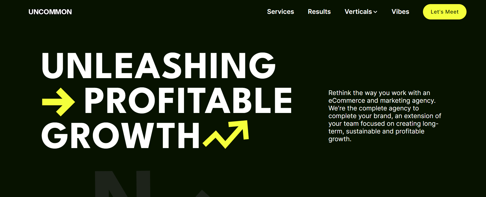 10 Best eCommerce Email Marketing Agencies in the US | Flowium