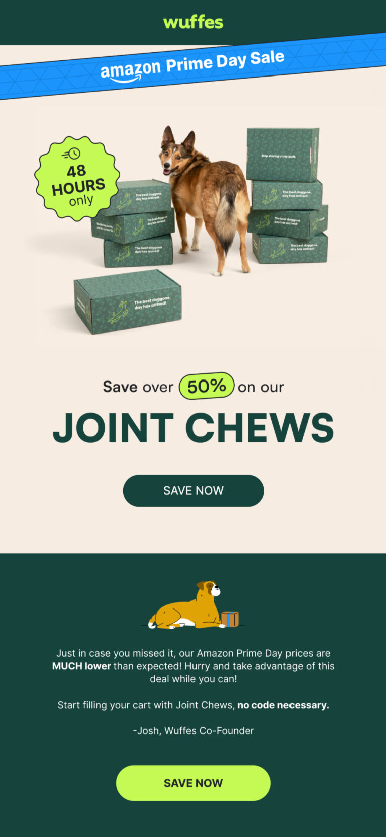 Best Amazon Prime Day Emails To Grow Revenue | Flowium