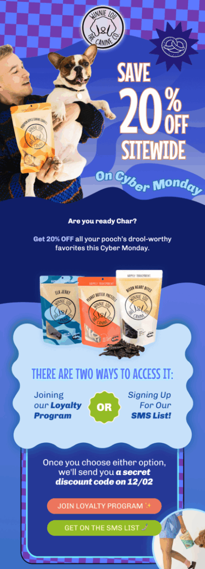 20+ Cyber Monday Email Ideas: Best Practices with Examples | Flowium