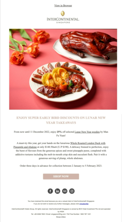 Lunar New Year Email: Marketing Strategies, Ideas, and Examples for ...