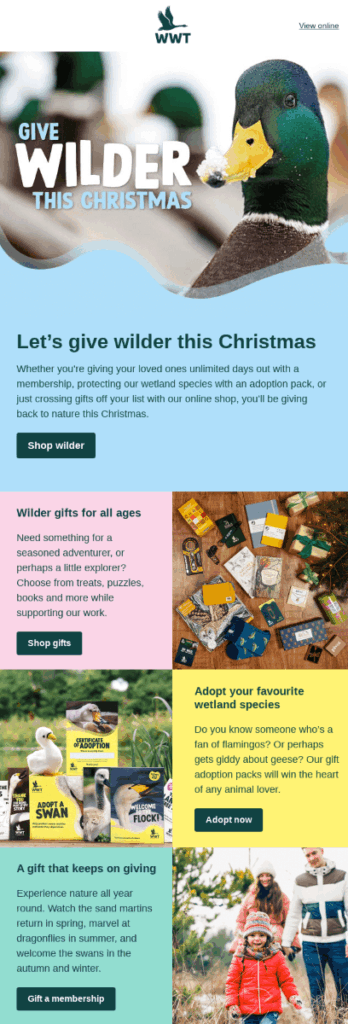 30+ Best Christmas Newsletters Ideas and Examples | Flowium